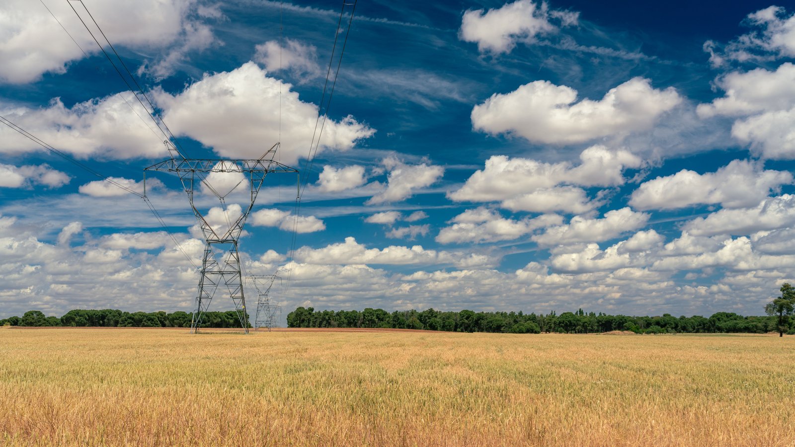A Kansas advocate warns the heartland's energy buildout is a land grab ...